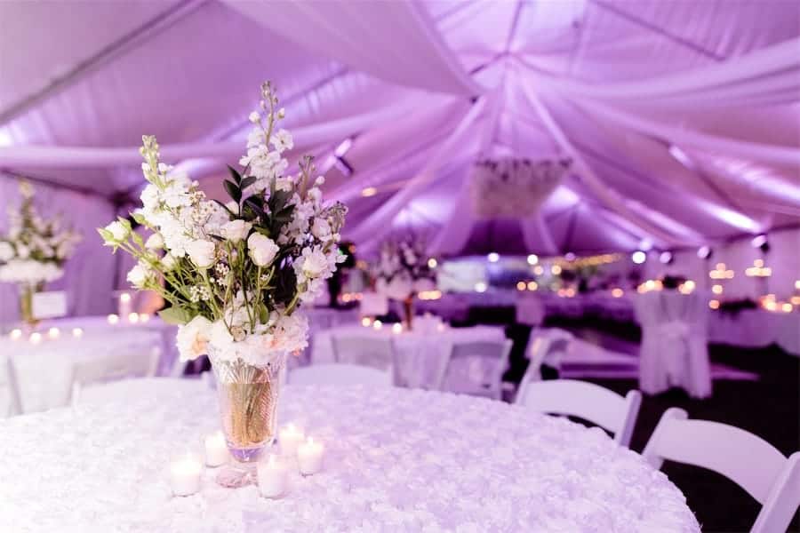 Elevate Your Wedding with Party Time Rental Services